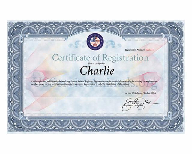 US Service Animals - View Product