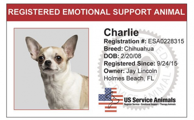 US Service Animals - View Product